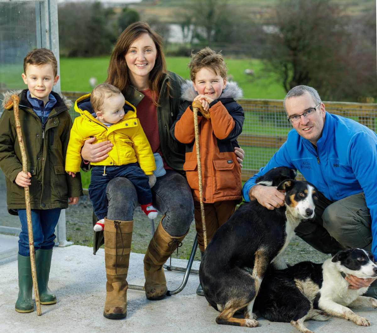 Atlantic Sheepdog Demonstrations | Herding Sheepdog Demonstration in Sligo